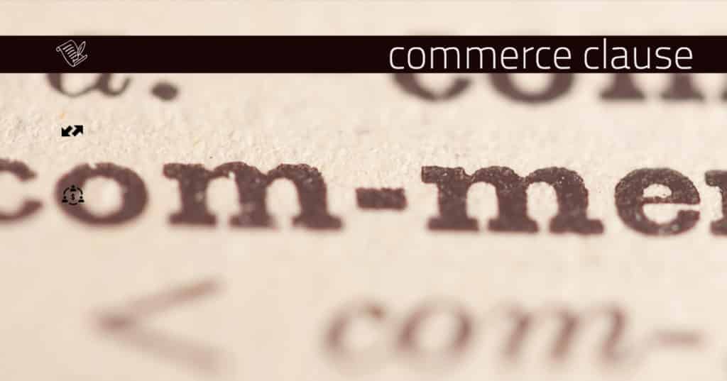 Tenth Amendment Center